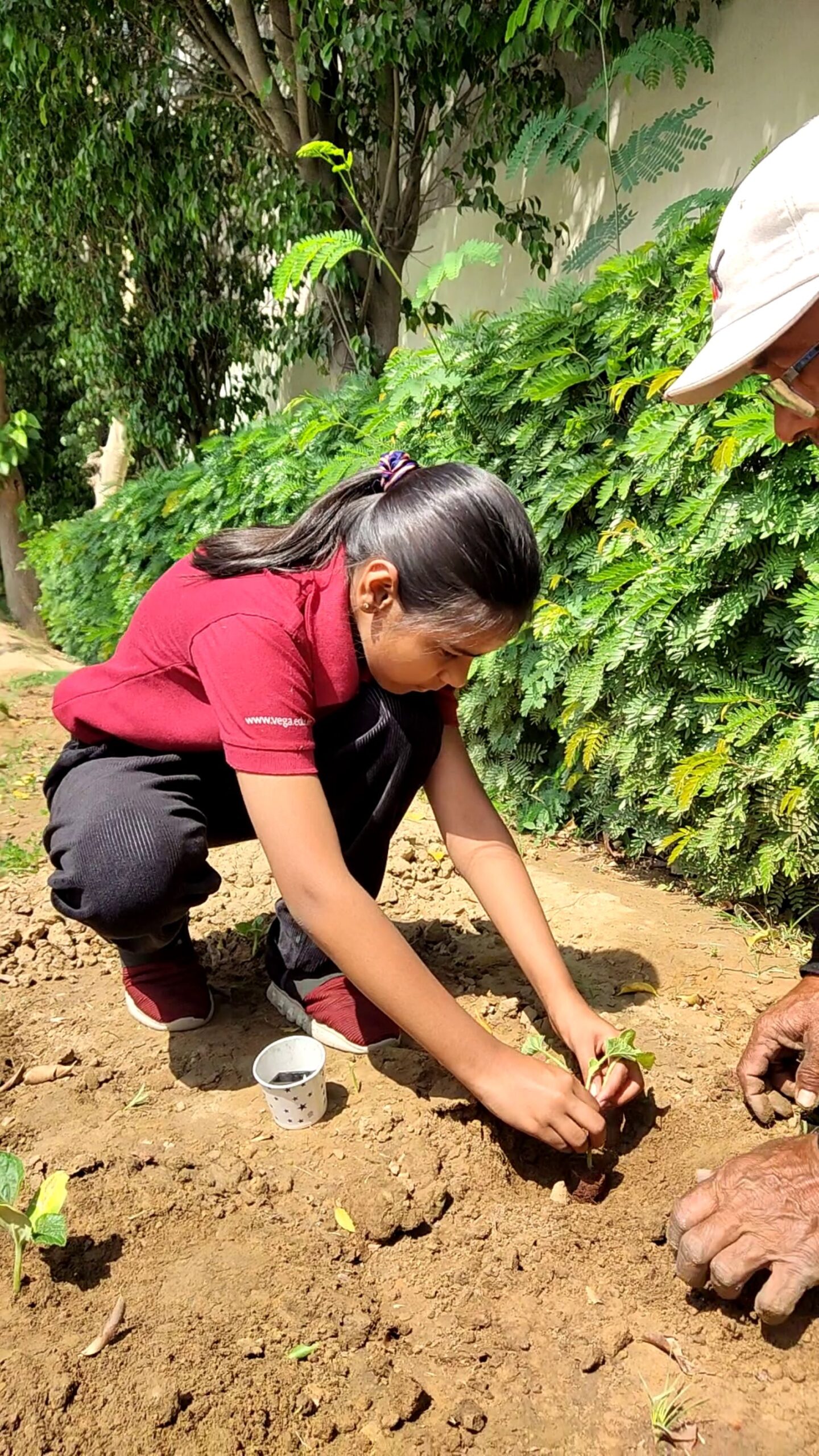 Embracing the Benefits of Nature: How Students Can Thrive with Outdoor ...