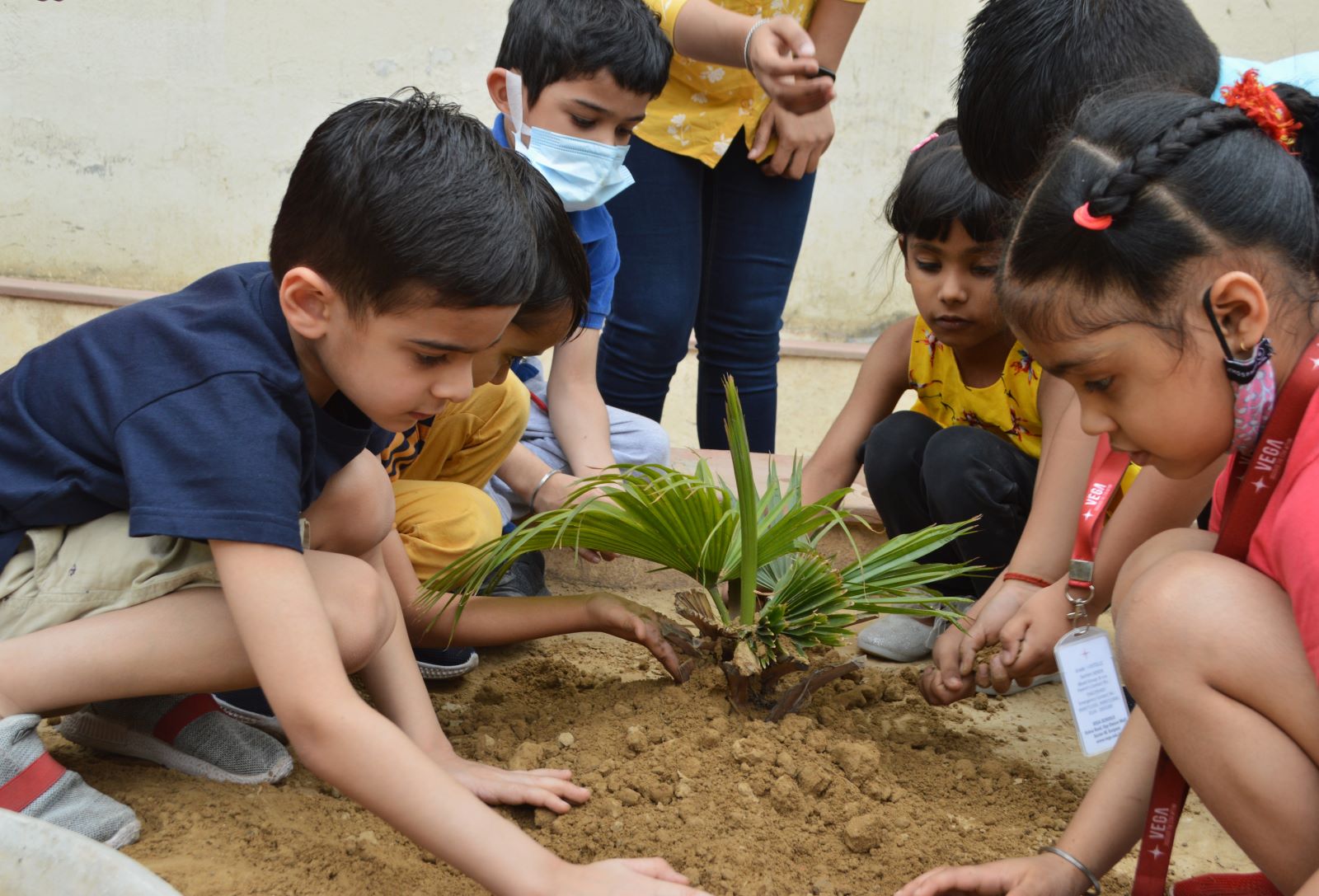 The Benefits of Volunteering and Community Service - Vega Schools