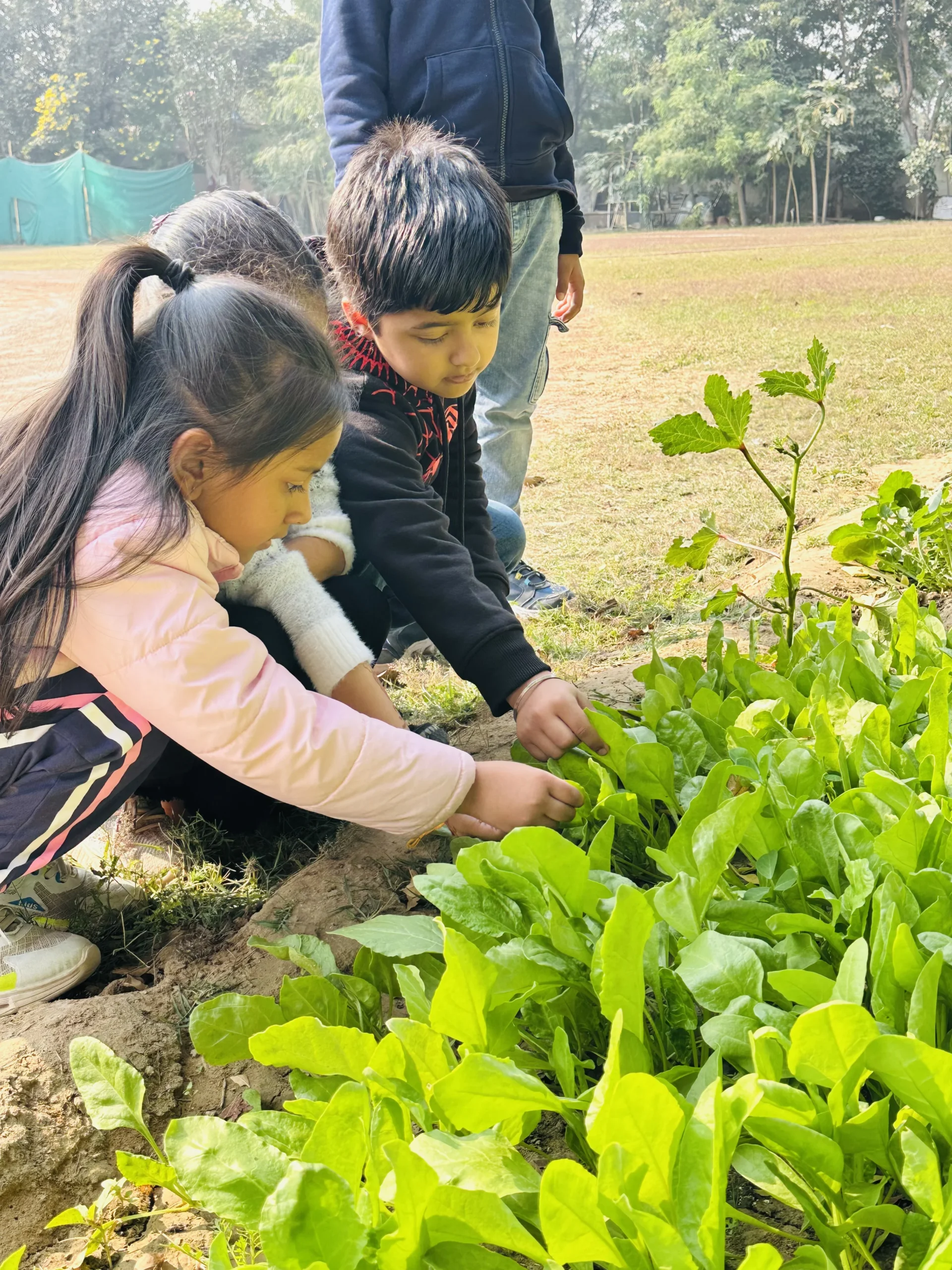 Gardening with Kids: A Fun and Educational Summer Activity