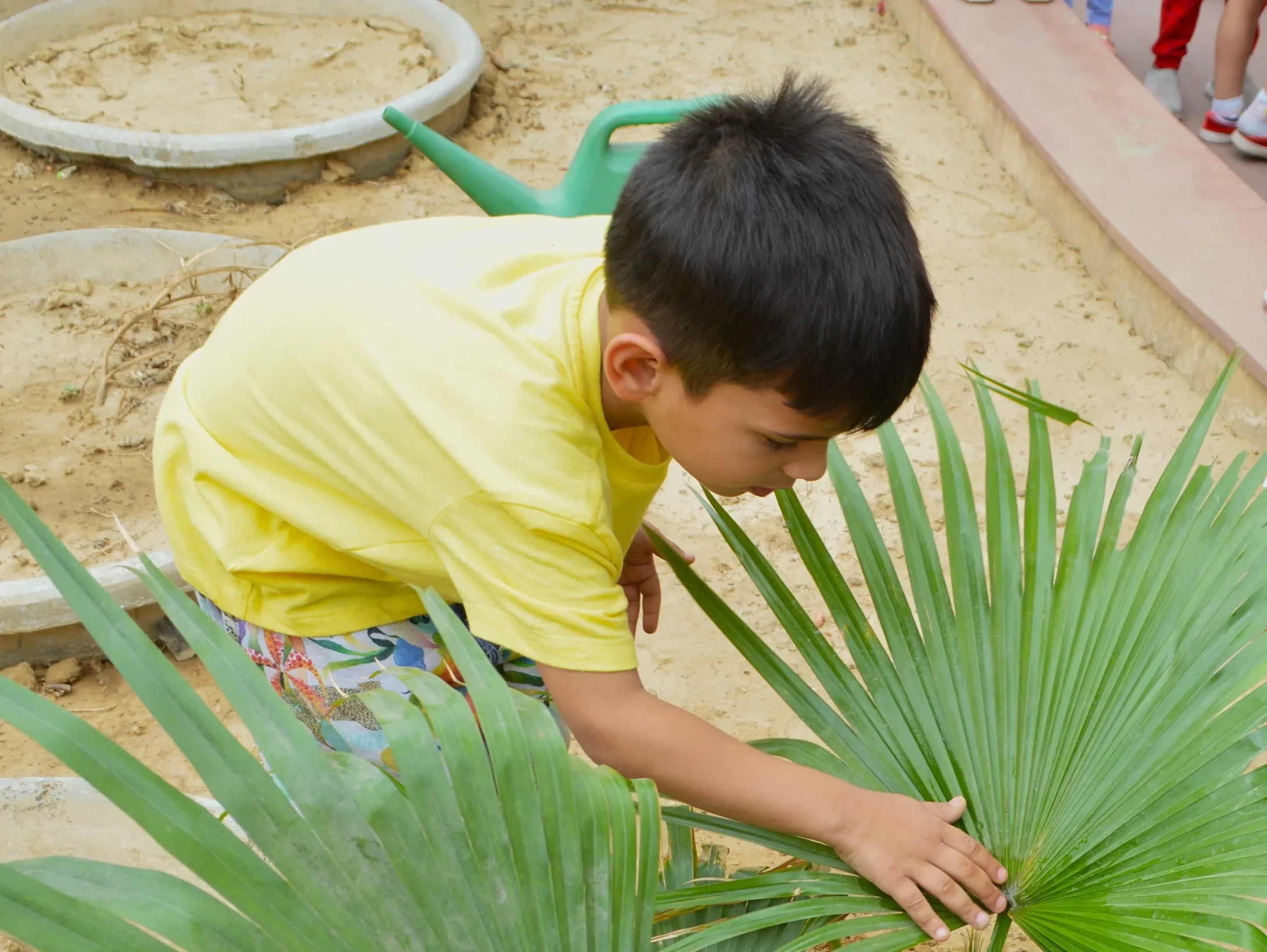 The Green Pledge: How Students Become Advocates for Cleaner Air in Gurgaon